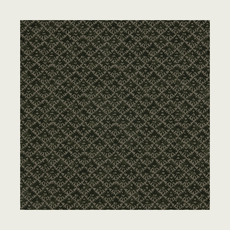 Latest Collection - ZAK+FOX