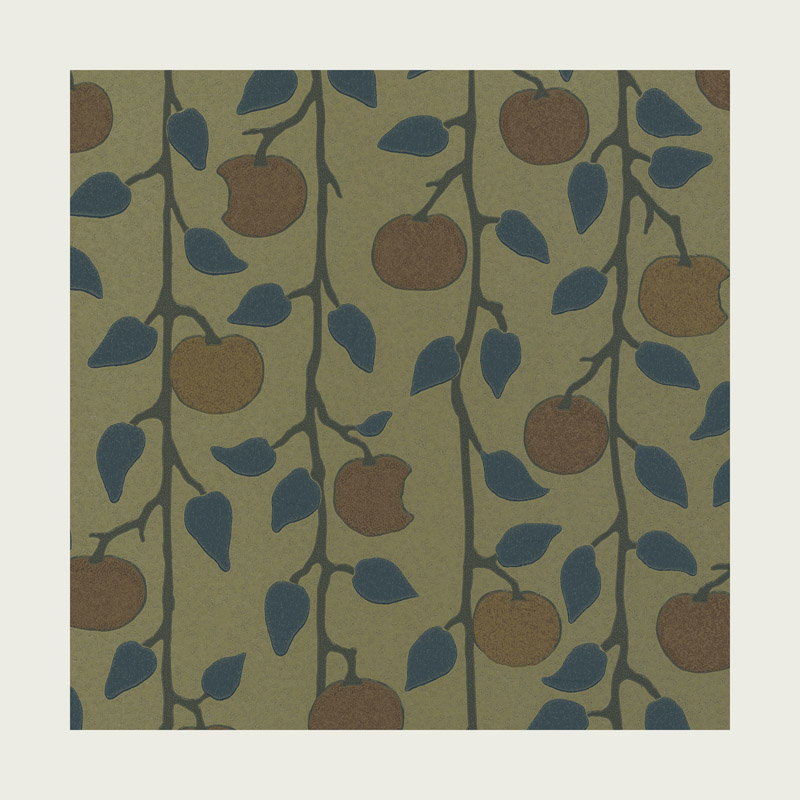 Latest Collection - ZAK+FOX